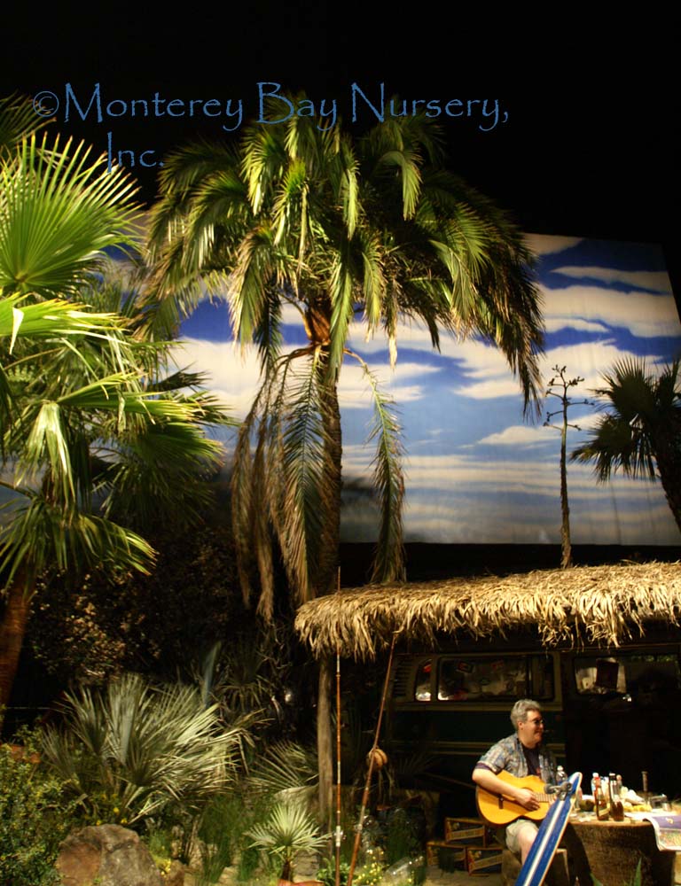 Monterey Bay Nursery plants - P